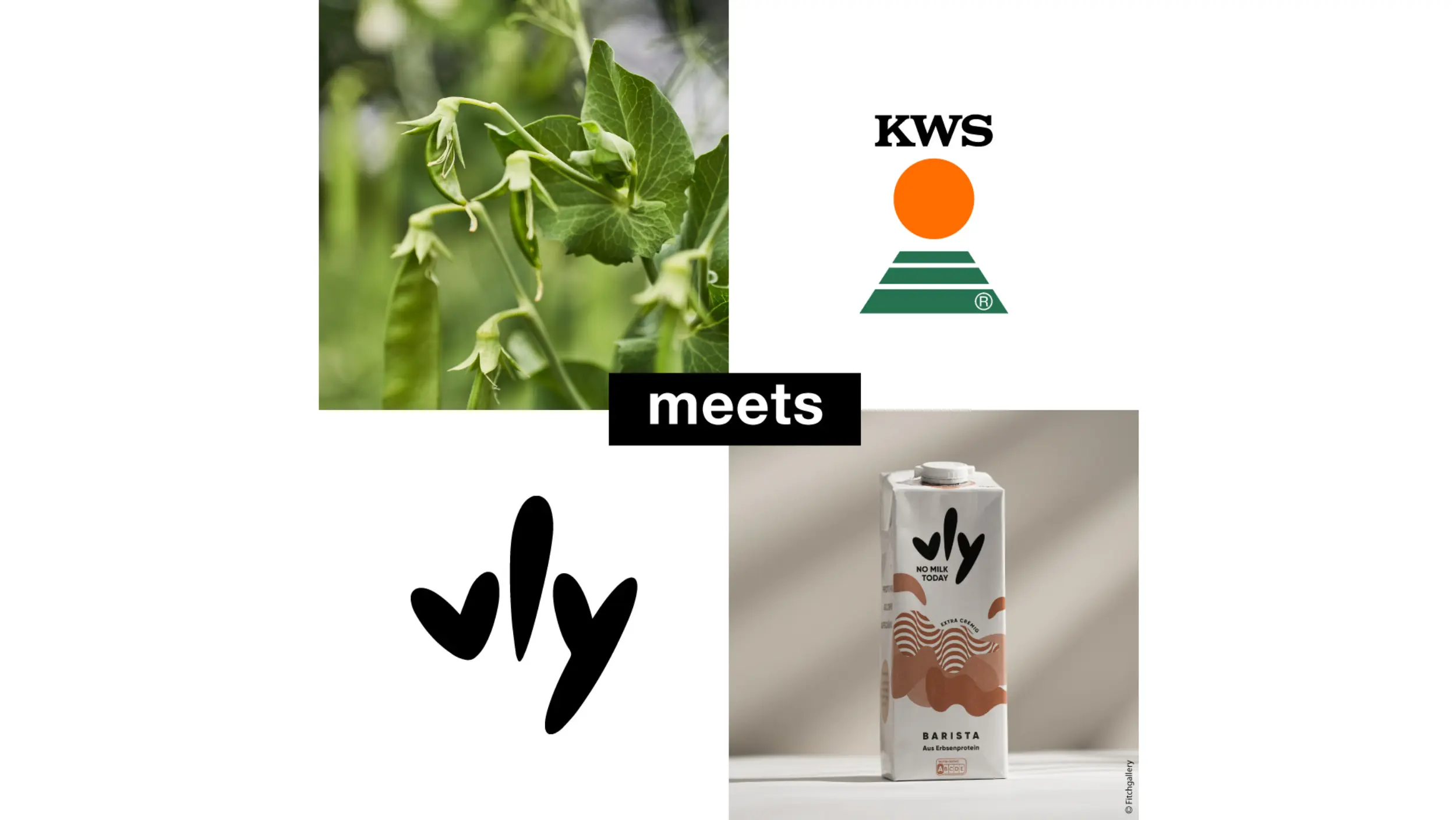 KWS partners with vly to further develop plant-based foods - KWS SAAT ...