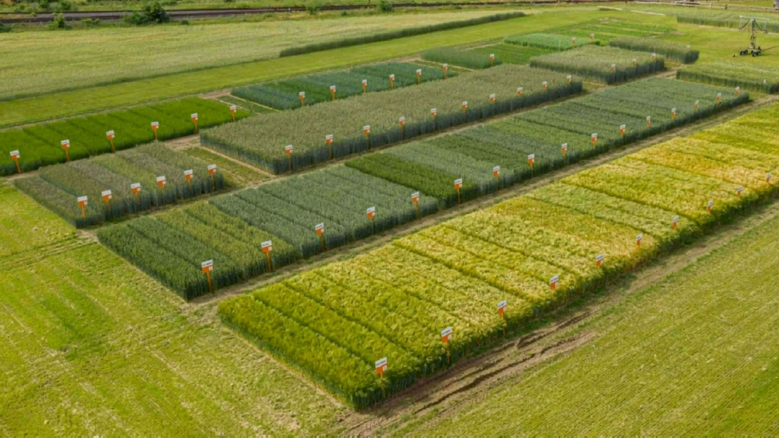 SeedQuest - Central information website for the global seed industry