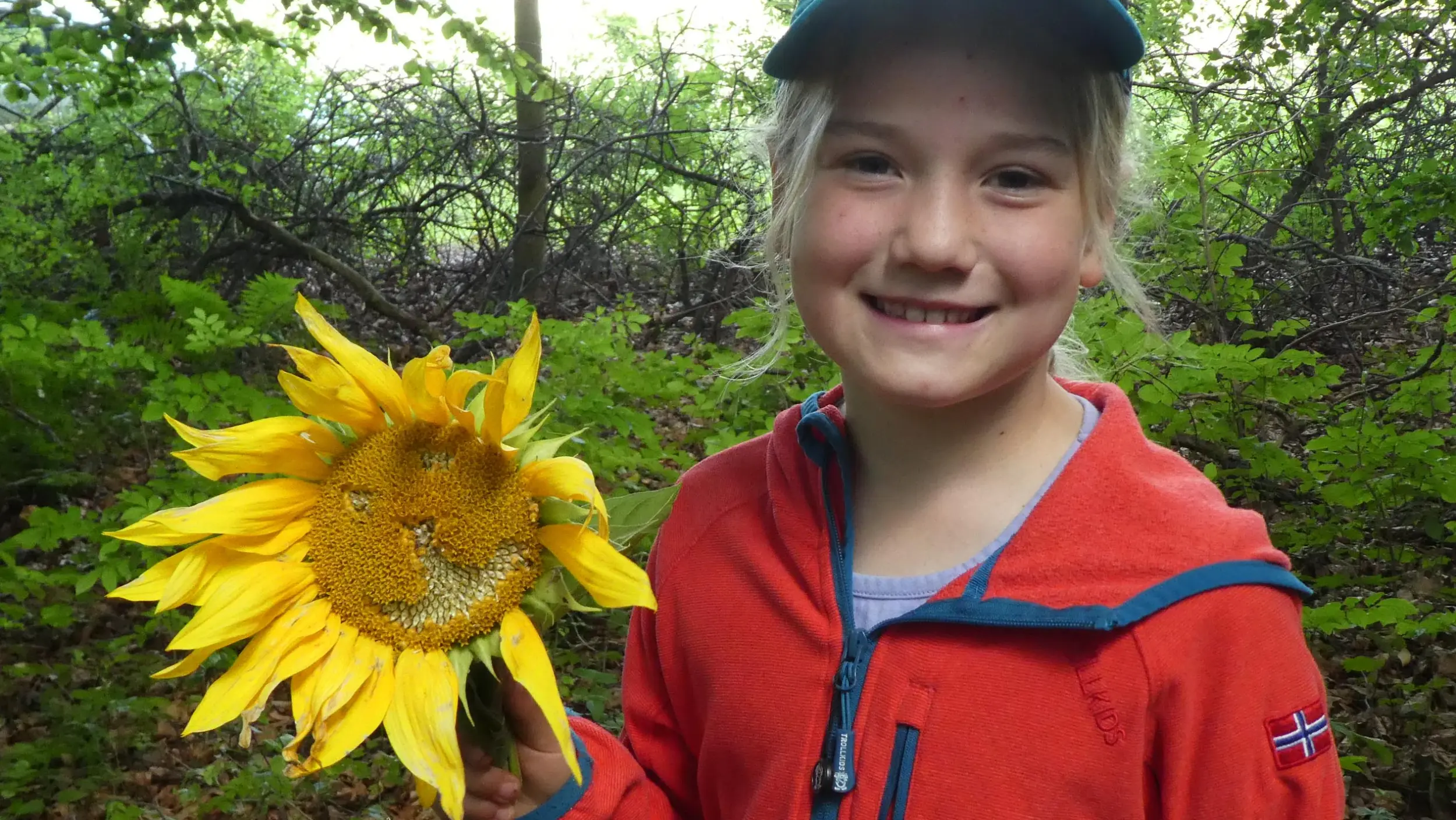 It's all about nature! KWS summer holiday pass campaign 2023 - KWS SAAT SE & Co. KGaA