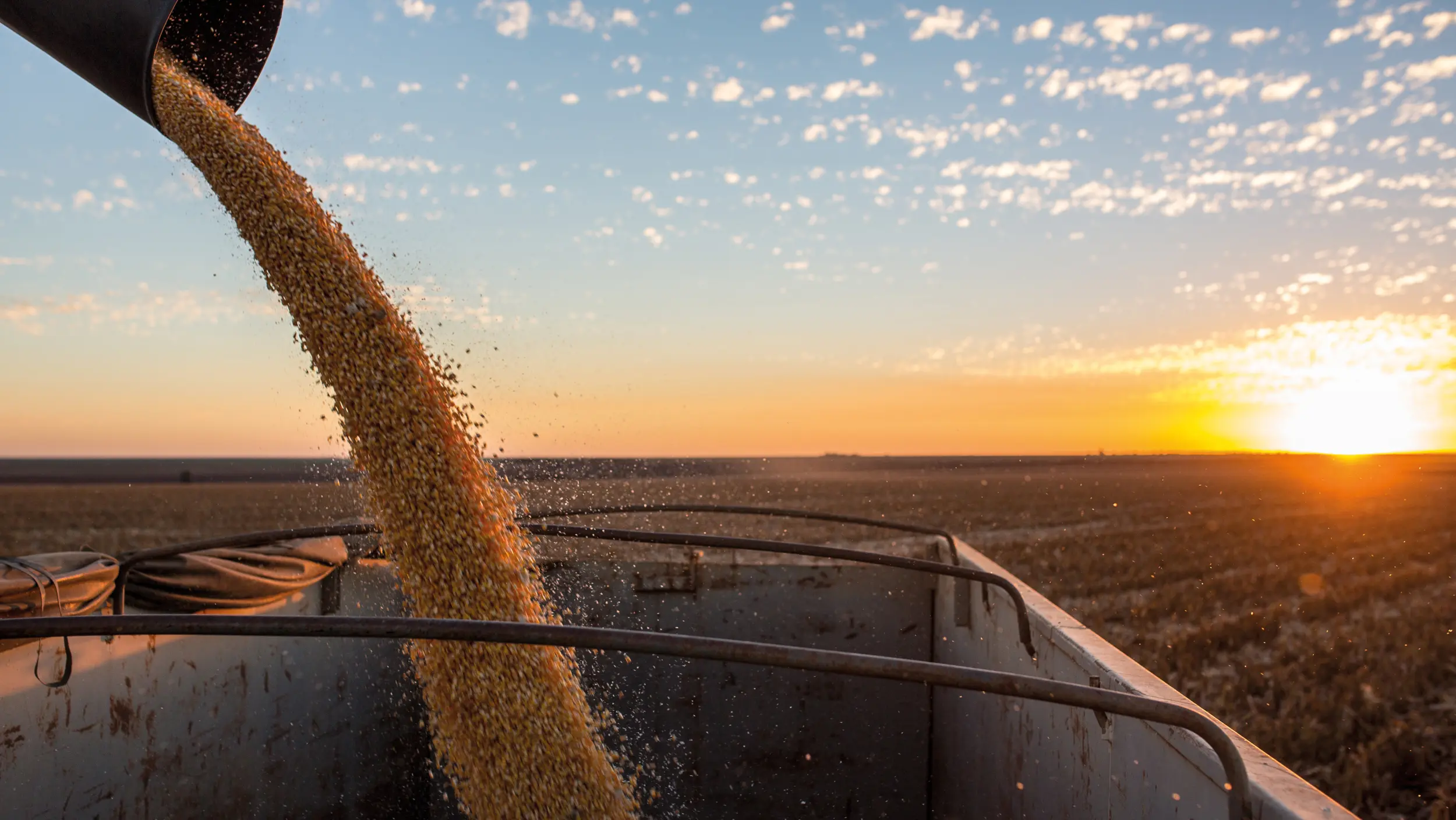 KWS sells corn business in South America to GDM - KWS SAAT SE & Co. KGaA