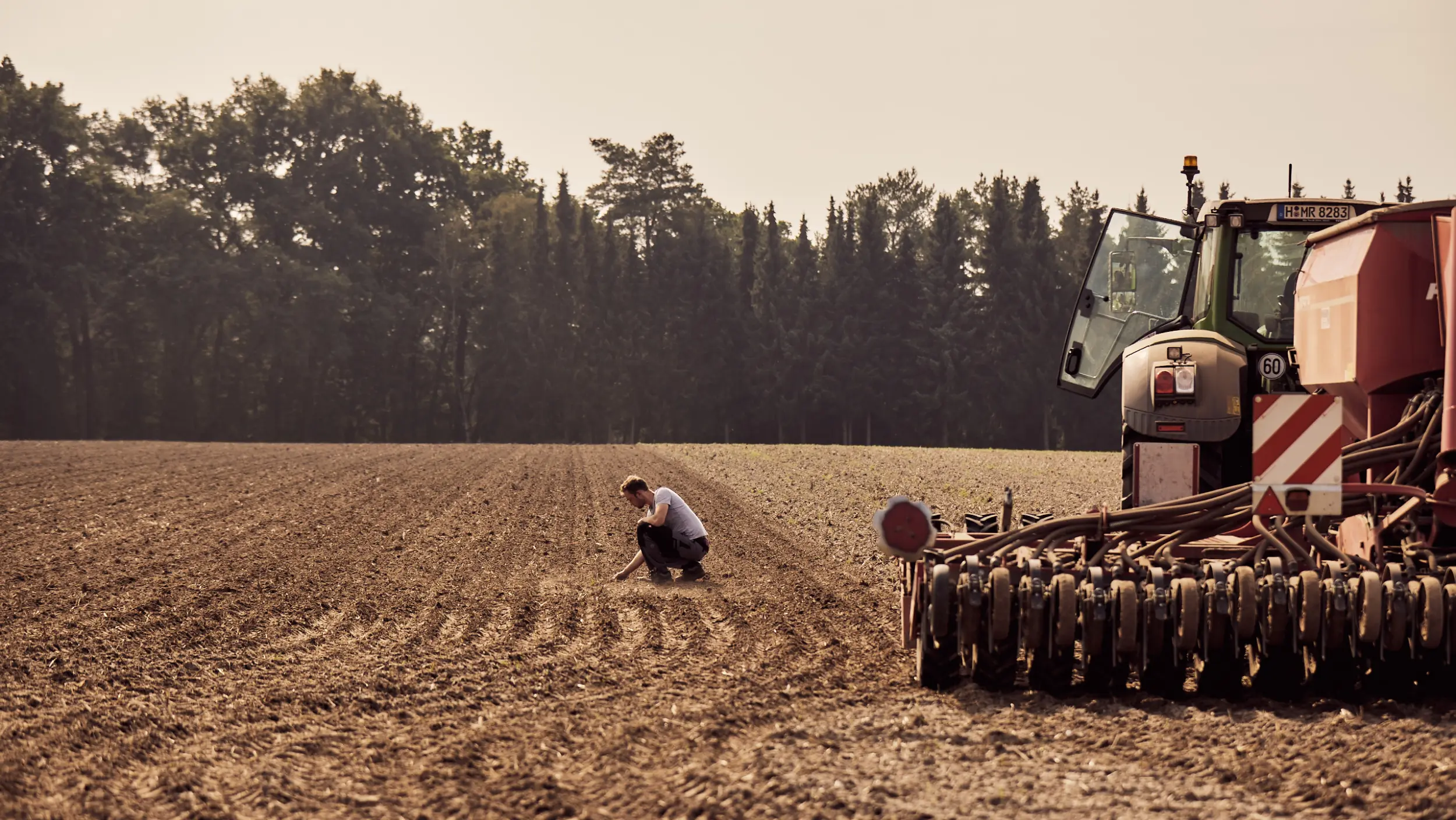 KWS publishes results for the first quarter 2024/2025 and confirms forecast - KWS SAAT SE & Co. KGaA