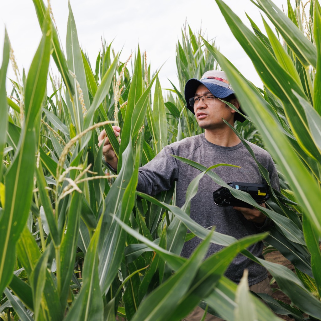 Innovation - KWS SAAT SE & Co. KGaA