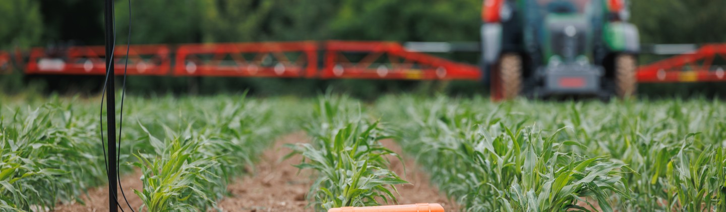 Our innovation areas – from lab to field level - KWS SAAT SE & Co. KGaA