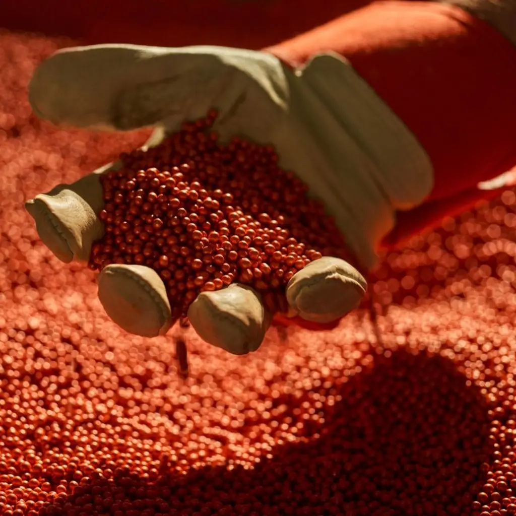 KWS Winterrapssorten sind die stärksten in den Wertprüfungen - KWS SAAT | kws.de