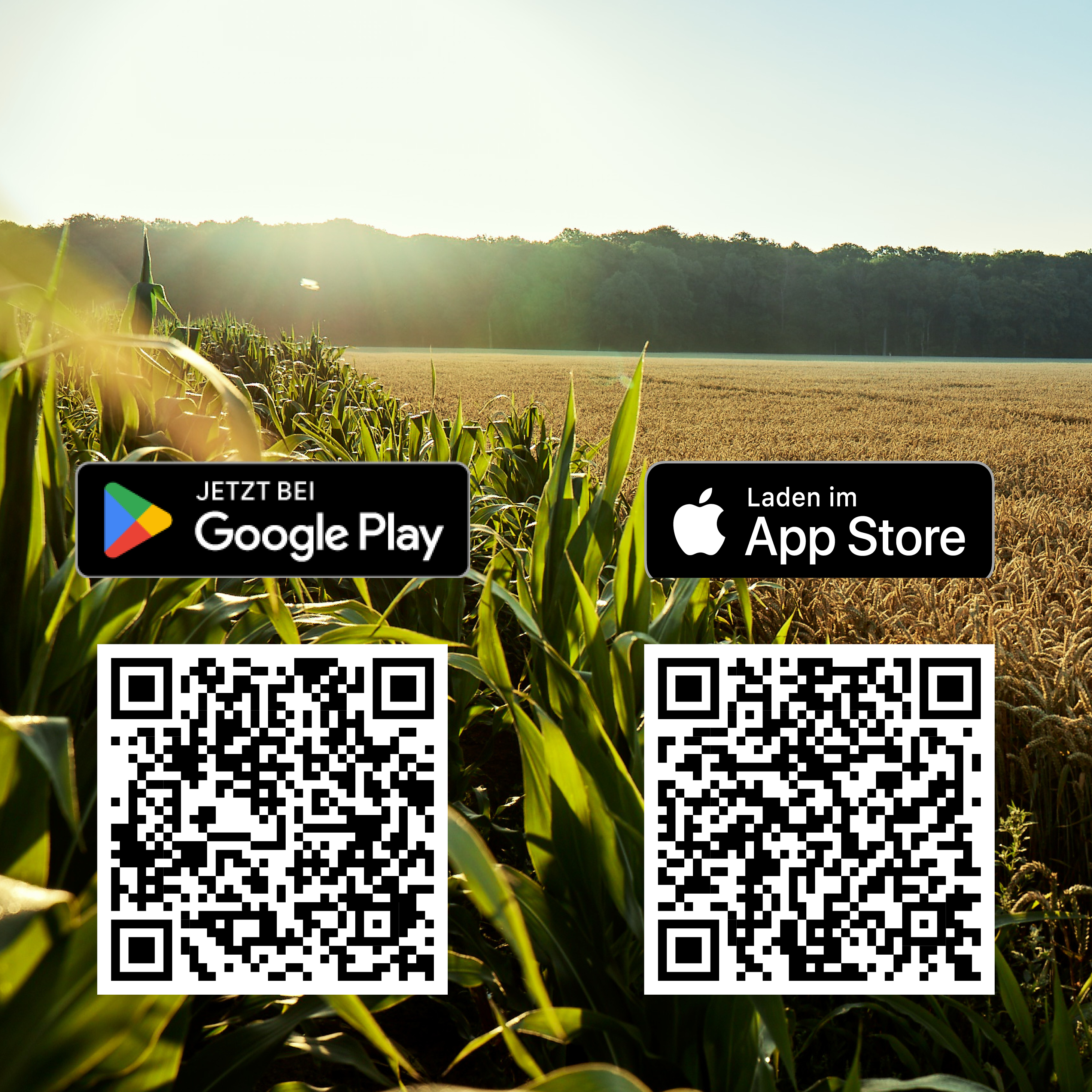 myKWS App - KWS SAAT | kws.de