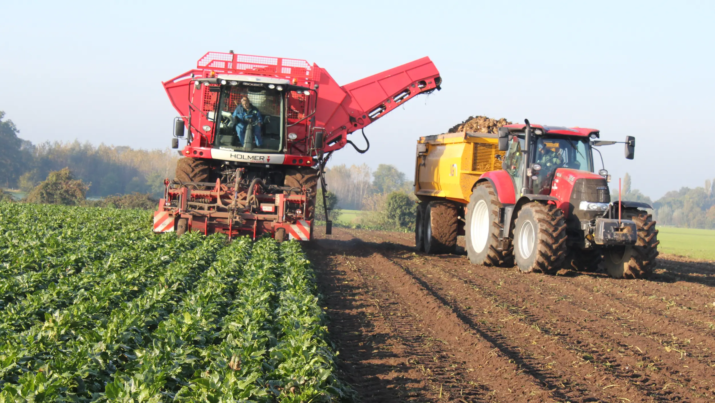 SEED2FEED - Optimaliseert rantsoen en gewas- KWS Benelux B.V.